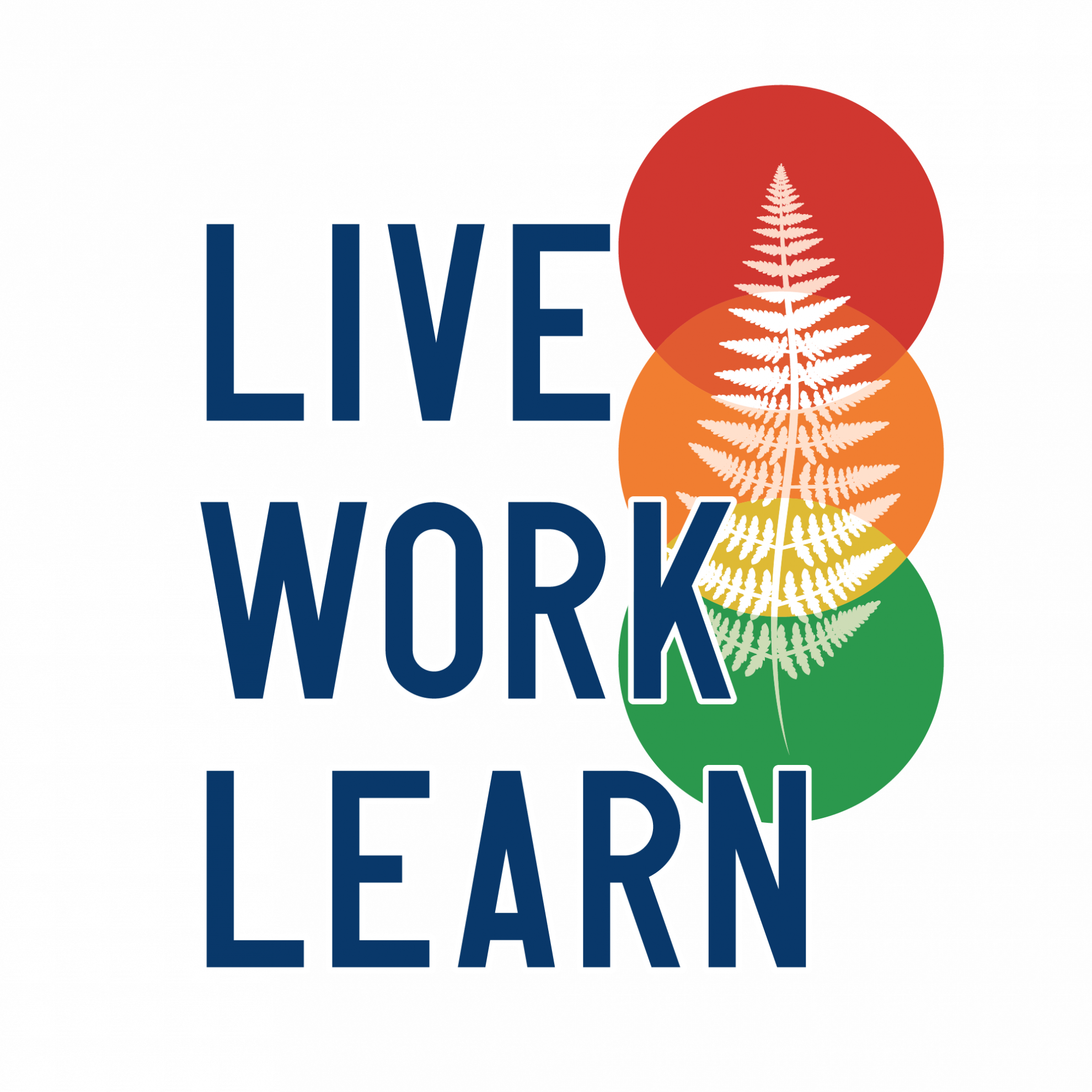 Mission and Vision – Live Work Learn
